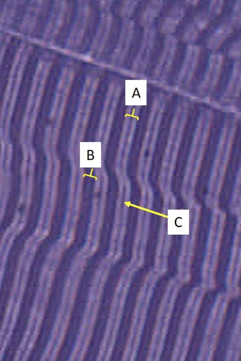 Solved A. Name the region labeled AB. Name the region | Chegg.com