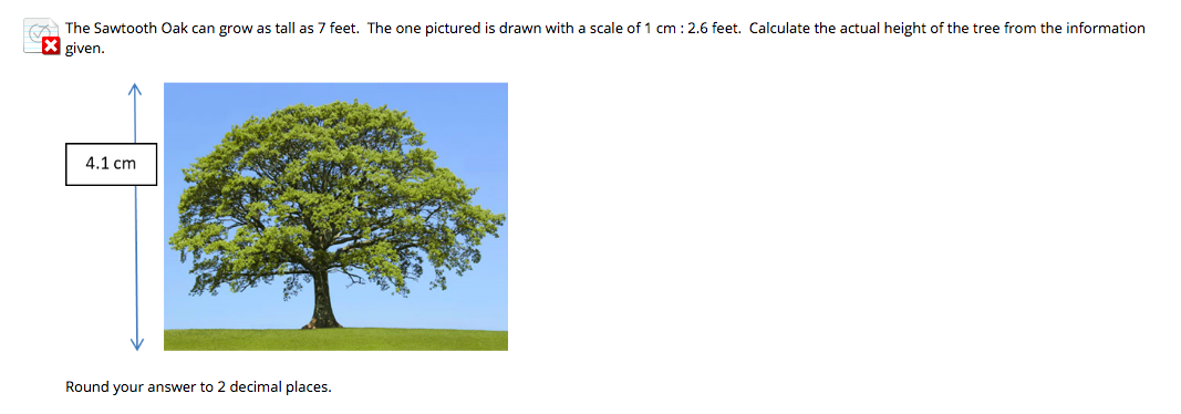 Solved The Sawtooth Oak can grow as tall as 7 feet. The one | Chegg.com