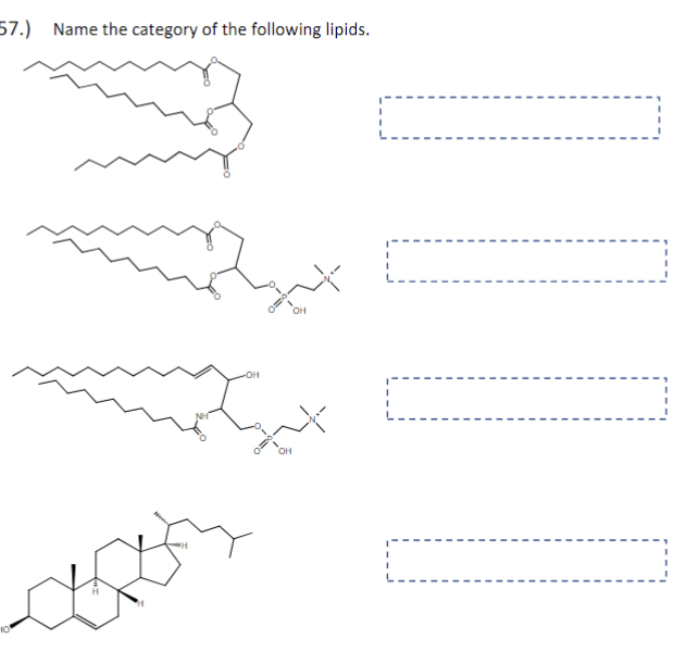 Solved 57.) Name the category of the following lipids. | Chegg.com
