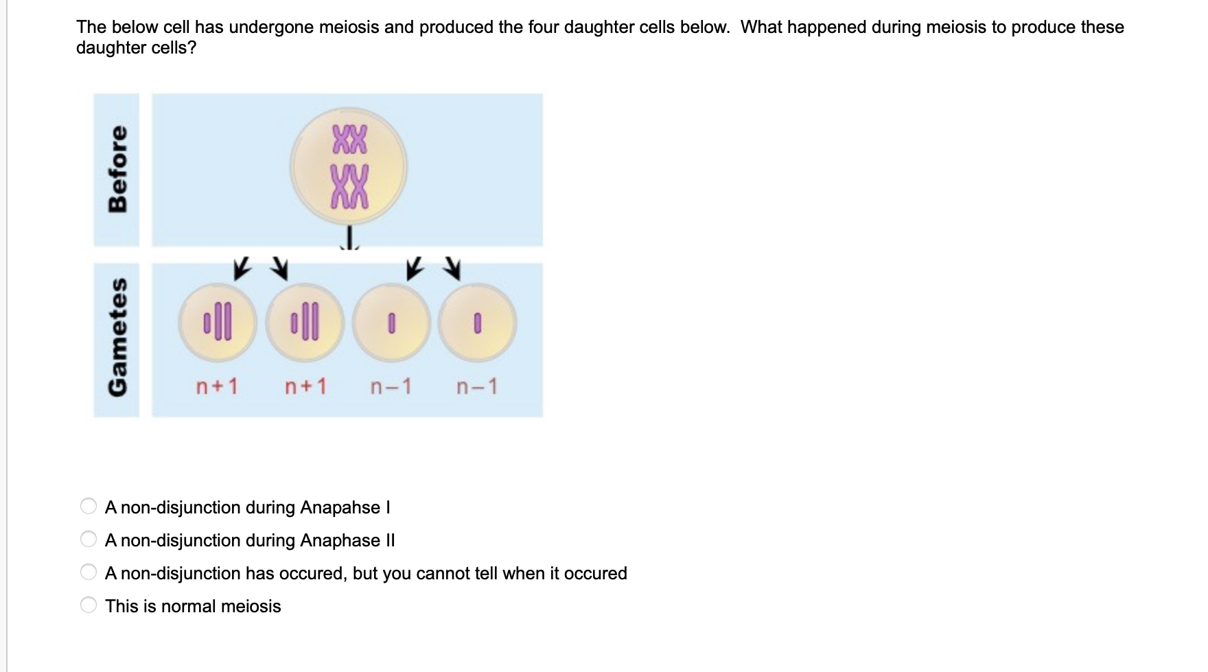 Solved The below cell has undergone meiosis and produced the | Chegg.com