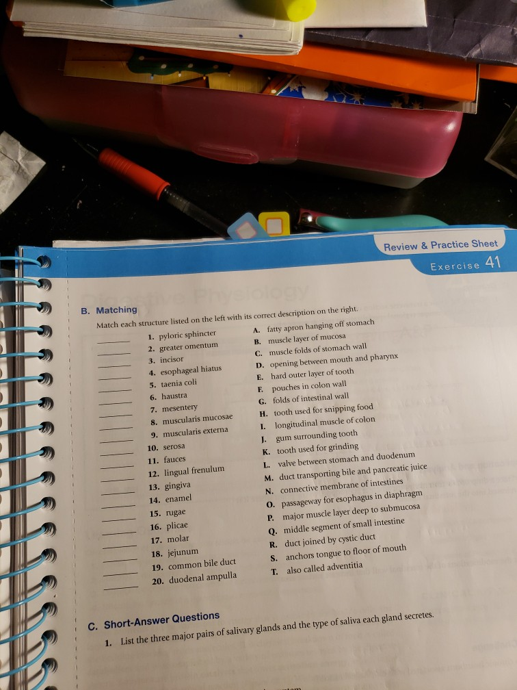 Solved Review & Practice Sheet Exercise B. Matching Match | Chegg.com