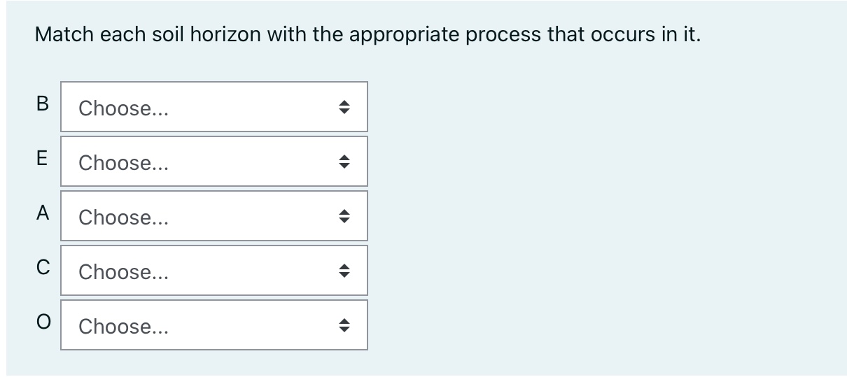 Solved Choose... Choose... illuviation Humification | Chegg.com