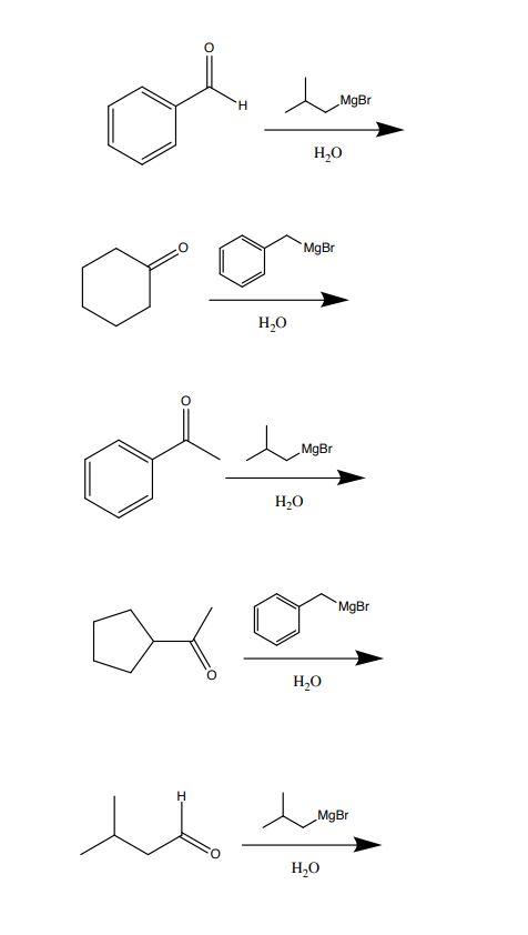 Solved H2O1MgBr | Chegg.com
