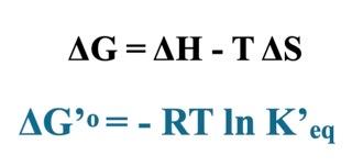 Solved Calculate the Delta E’o and Delta G’o values for | Chegg.com