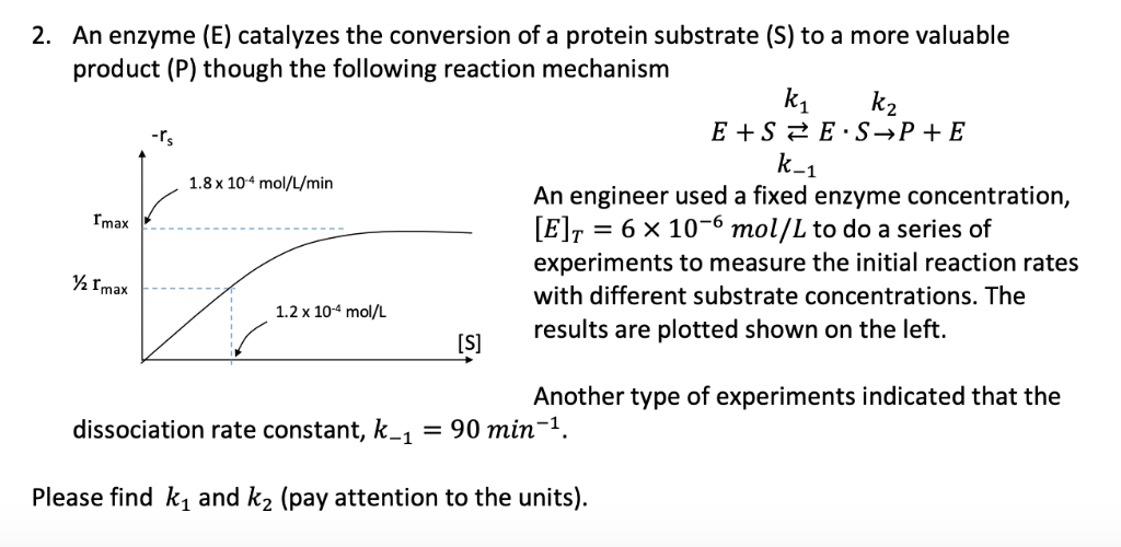 Solved An enzyme (E) catalyzes the conversion of a protein | Chegg.com