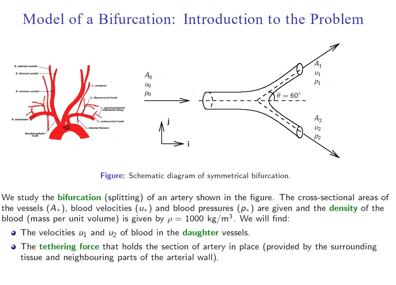 Solved The cross-section area of the vessels (A), blood | Chegg.com