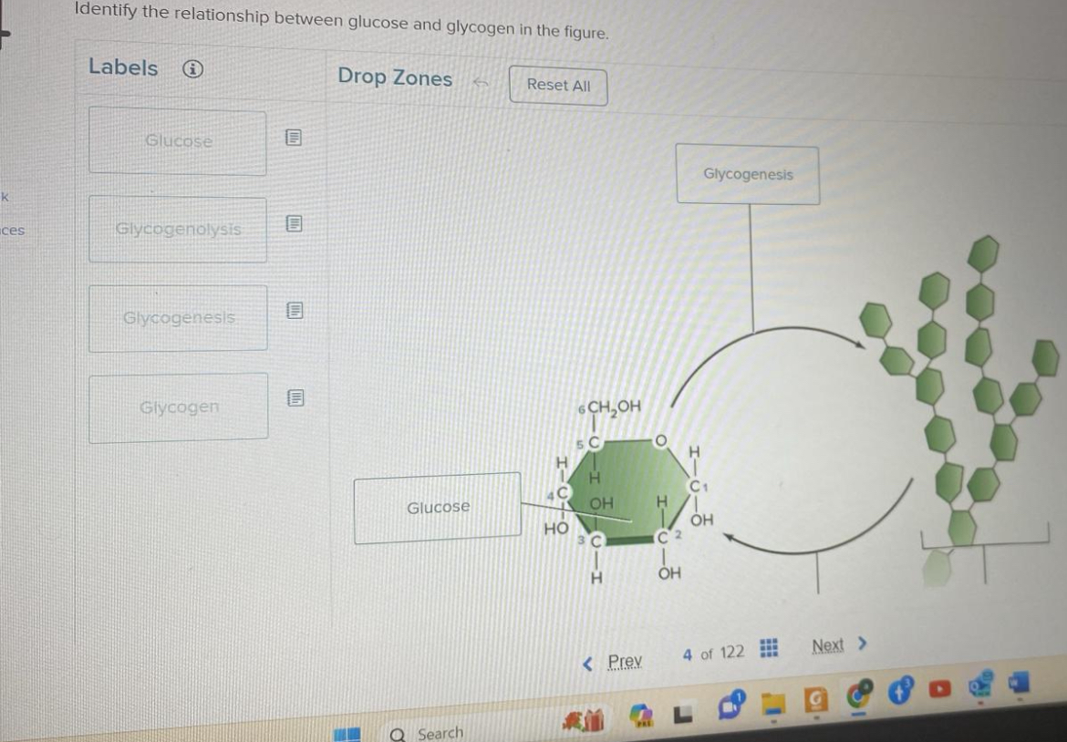 Solved Identify the relationship between glucose and | Chegg.com Solved Identify the relationship between glucose and | Chegg.com