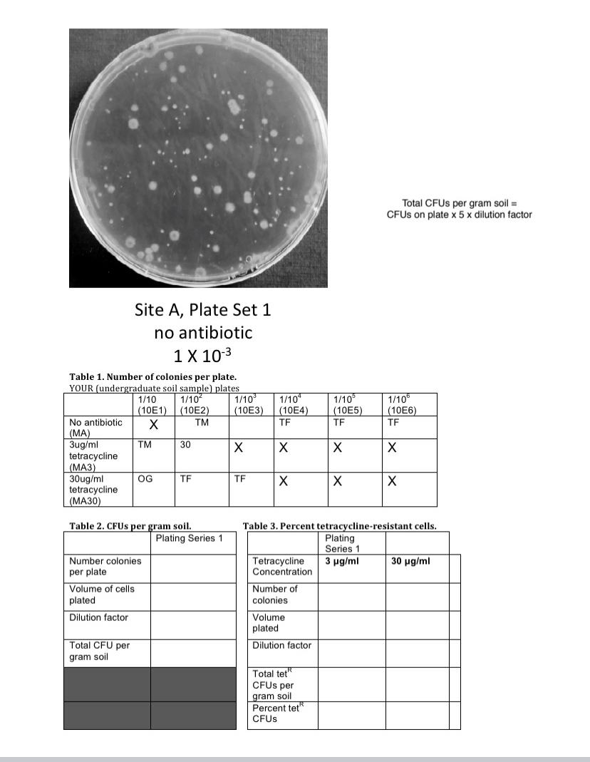 Step 4: count colonies from "countable" plates For | Chegg.com