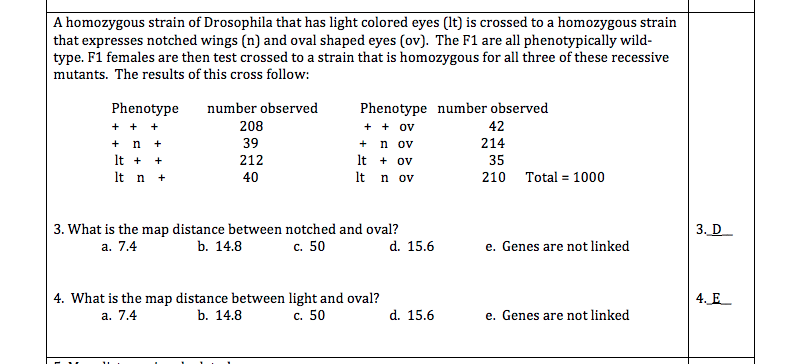 Solved A homozygous strain of Drosophila that has light | Chegg.com