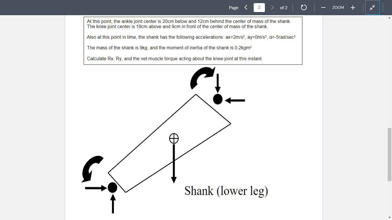 Solved During the push off phase of running, an athlete | Chegg.com