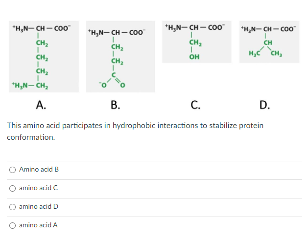 Solved *H3N-CH-COO 1 *H2N-CH-Coo +H2N-CH - COO *H2N-CH-COO 1 | Chegg.com