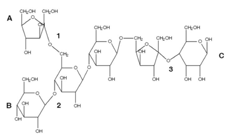 Solved 1) Are there any reducing or nonreducing ends on | Chegg.com
