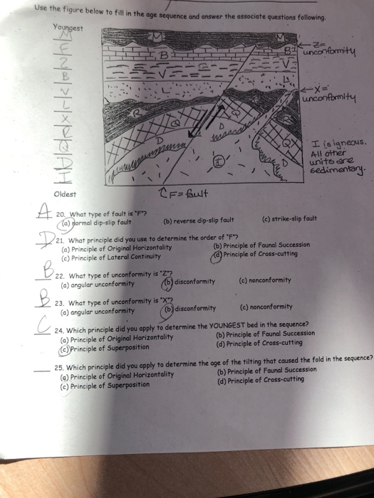 Solved I have some answers for the paper for my GLG 101 | Chegg.com