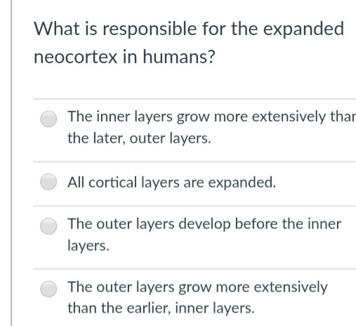 Solved What is responsible for the expanded neocortex in | Chegg.com