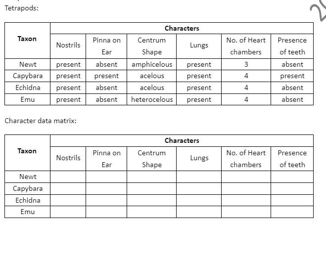 Solved Phylogenetic Classification: Construct a simple | Chegg.com