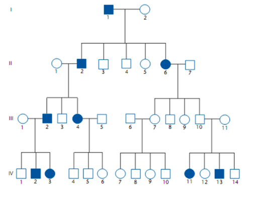 Solved The pedigree below shows a family with genomic | Chegg.com