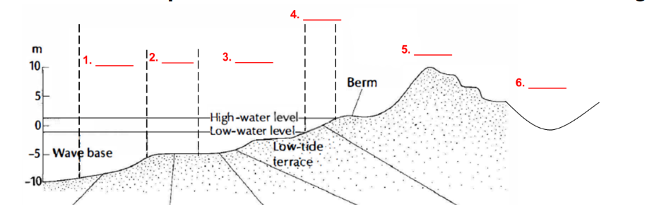 Solved Sedimentary Environments Questions 13.What is wave | Chegg.com