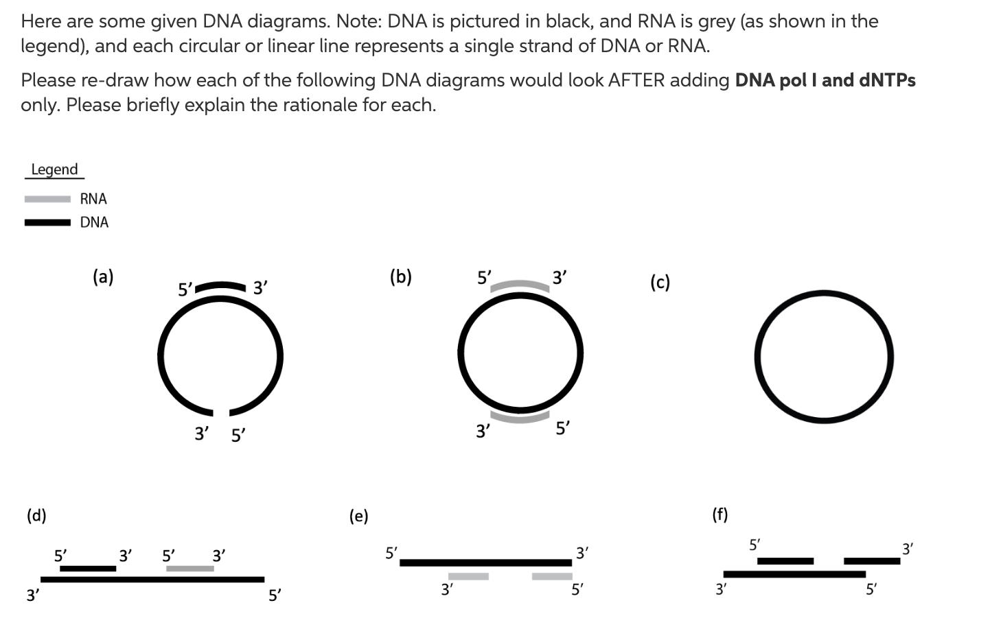 Solved Here are some given DNA diagrams. Note: DNA is | Chegg.com