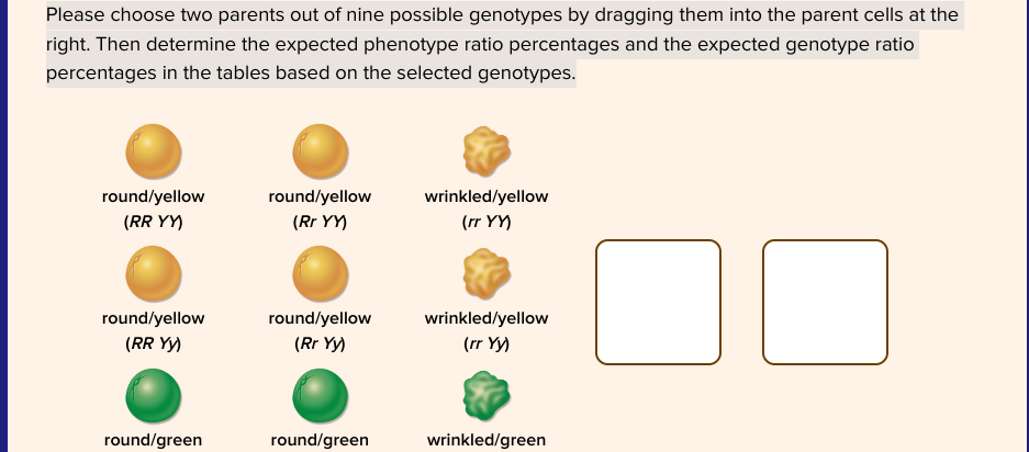Solved Please choose two parents out of nine possible | Chegg.com
