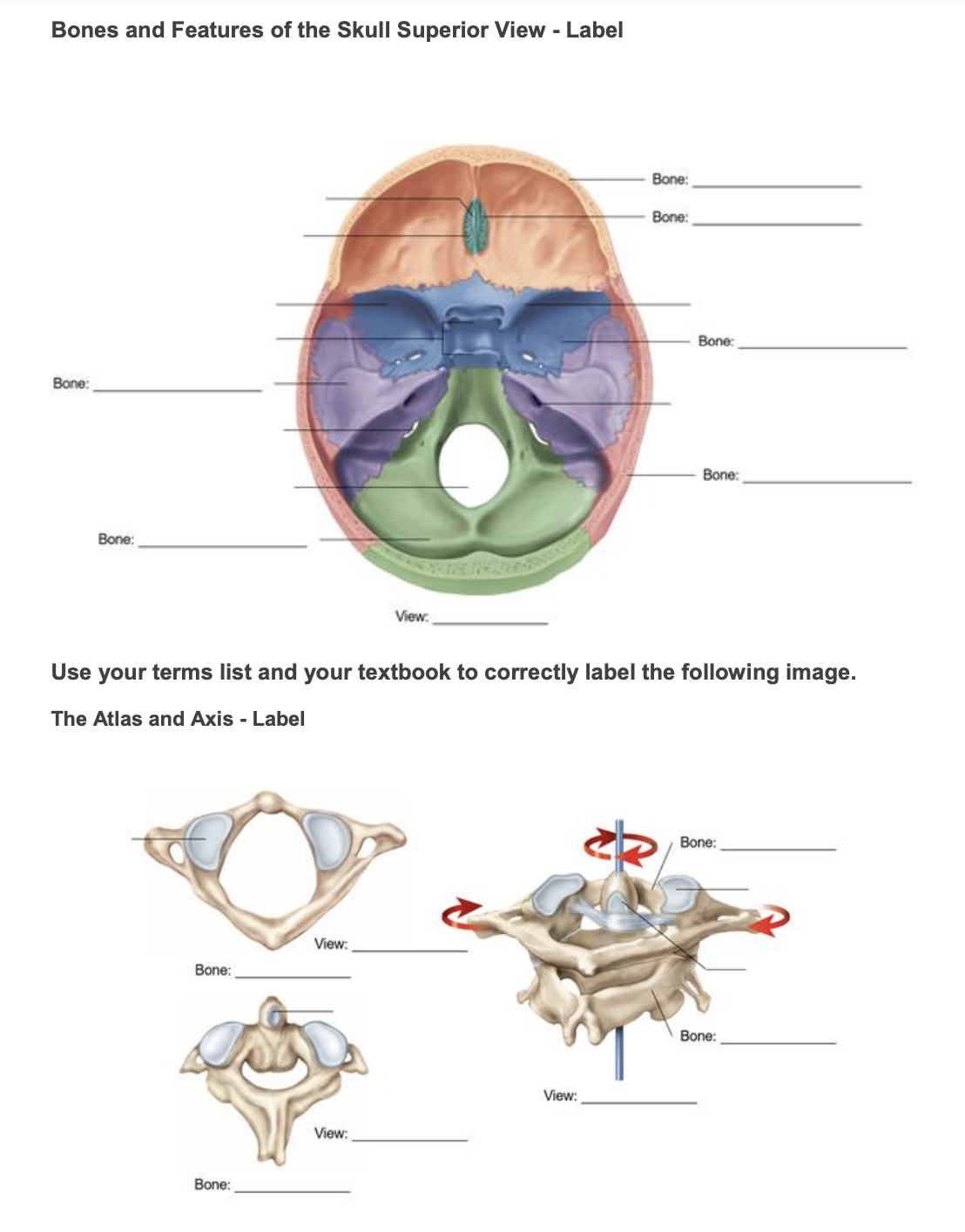 Solved Bones and Features of the Skull Superior View - Label | Chegg.com