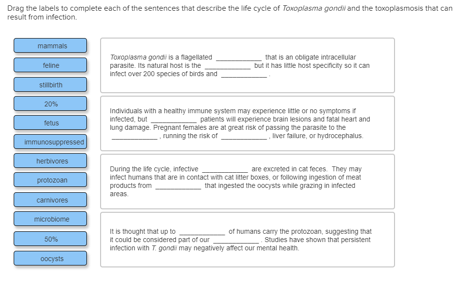 Solved Drag the labels to complete each of the sentences | Chegg.com