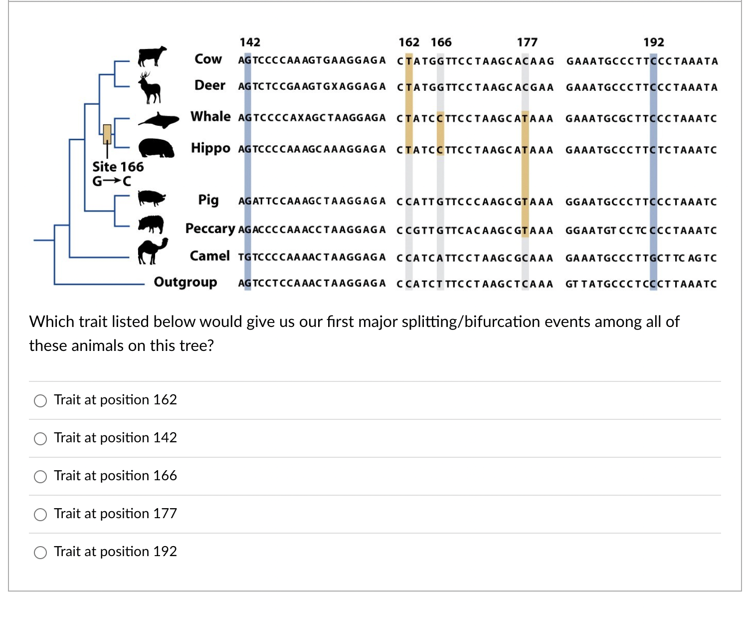 Solved Which trait listed below would give us our first | Chegg.com