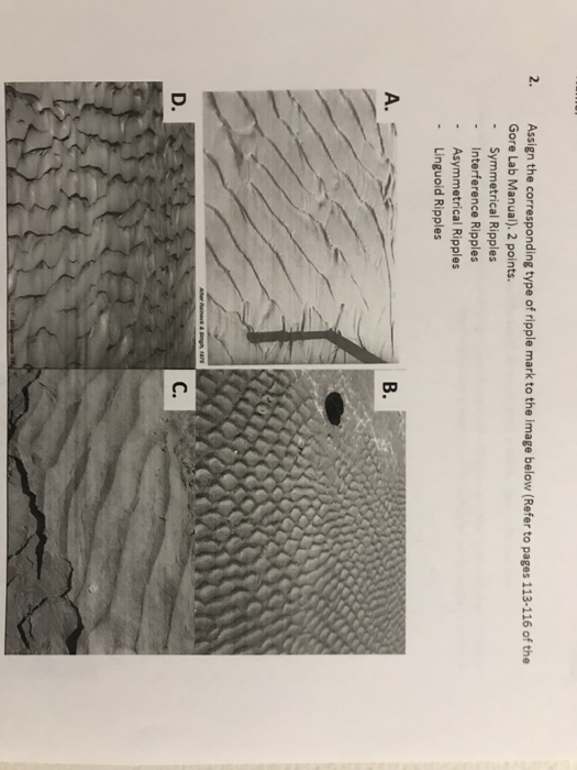 Solved 2. Assign the corresponding type of ripple mark to | Chegg.com