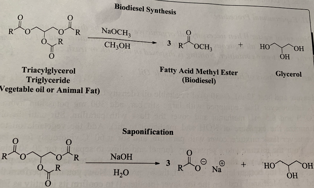 Solved 1.Describe and provide a detailed mechanism (use | Chegg.com