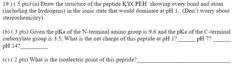 Solved 19.) ( 5 ﻿pts) (a) ﻿Draw the structure of the peptide | Chegg.com