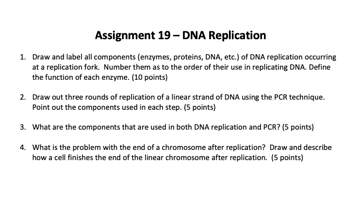 Solved Assignment 19-DNA Replication 1. Draw and label all | Chegg.com