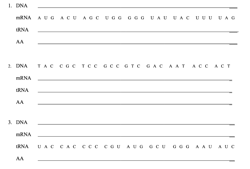 Solved 1. DNA tRNA AA mRNA tRNA AA 3. DNA mRNA AA | Chegg.com