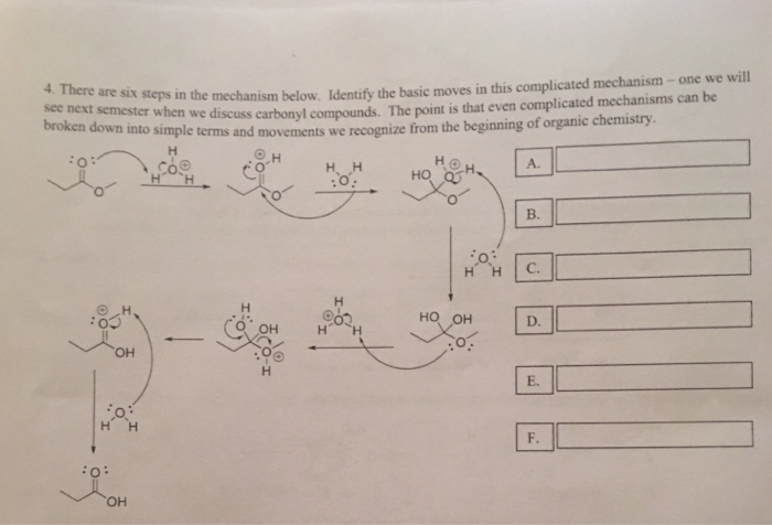 Solved steps in the mechanism below. Identify the basic | Chegg.com
