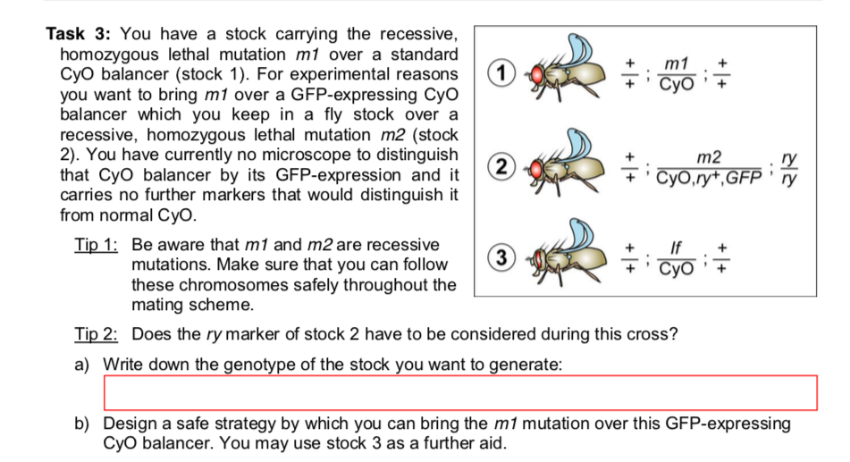 Solved Task 3: You have a stock carrying the recessive | Chegg.com