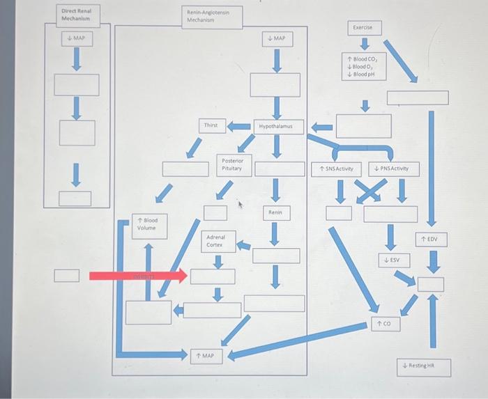 Solved 1. ﻿Fill in the concept map of factors that play a | Chegg.com