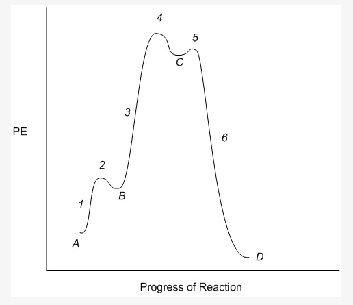 Solved Please answer ALL regarding this PE diagram In the PE | Chegg.com
