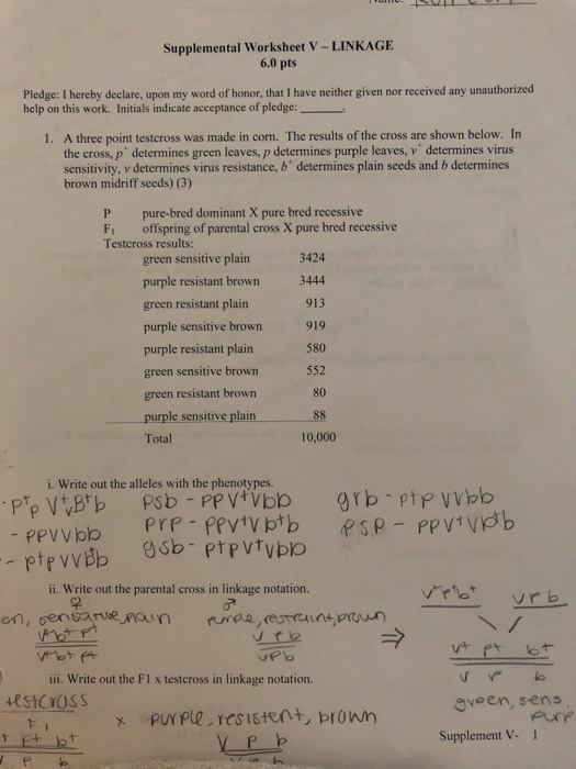 Supplemental Worksheet V - LINKAGE 6.0 pts Pledge: I | Chegg.com