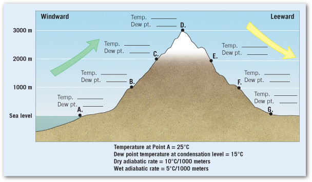 Solved Calculate the temperature and dew point at each | Chegg.com