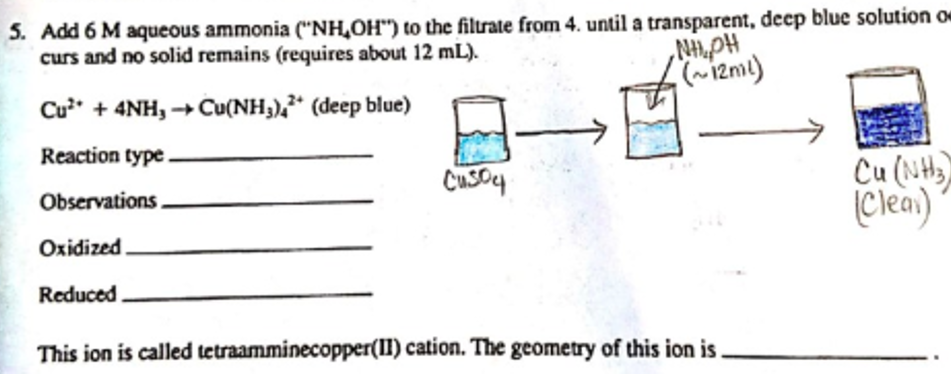 Solved 5. Add 6M aqueous ammonia (" NH4OH−1) to the filtrate | Chegg.com