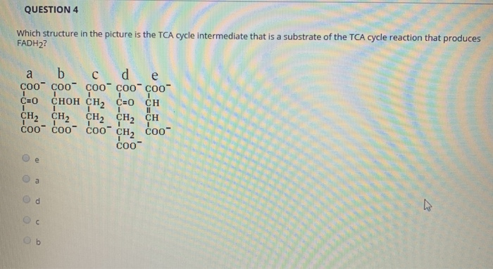 Solved QUESTION 4 Which structure in the picture is the TCA | Chegg.com