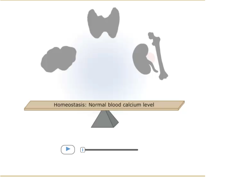 Solved Now, consider how these components of a homeostatic | Chegg.com