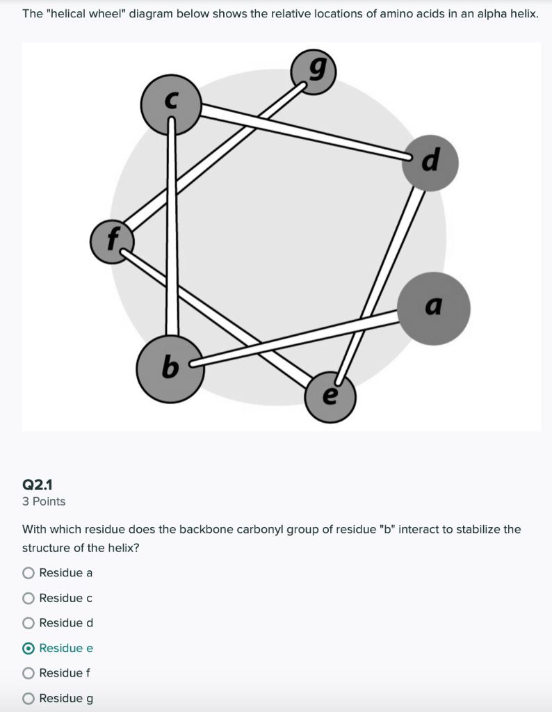 Solved The "helical wheel" diagram below shows the relative | Chegg.com