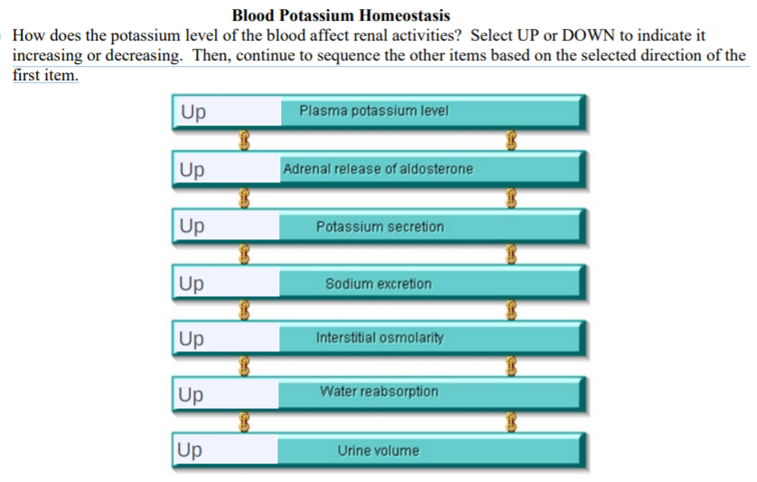 Solved Blood Potassium Homeostasis How does the potassium | Chegg.com