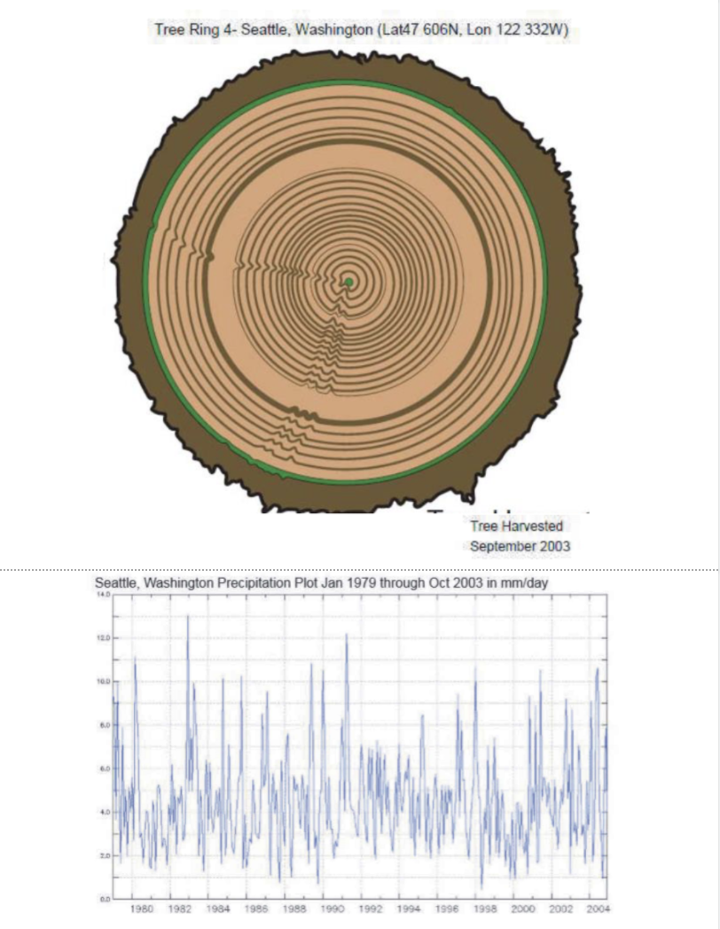 Solved Task 1: Tree Ring Analysis (20 points) In your | Chegg.com