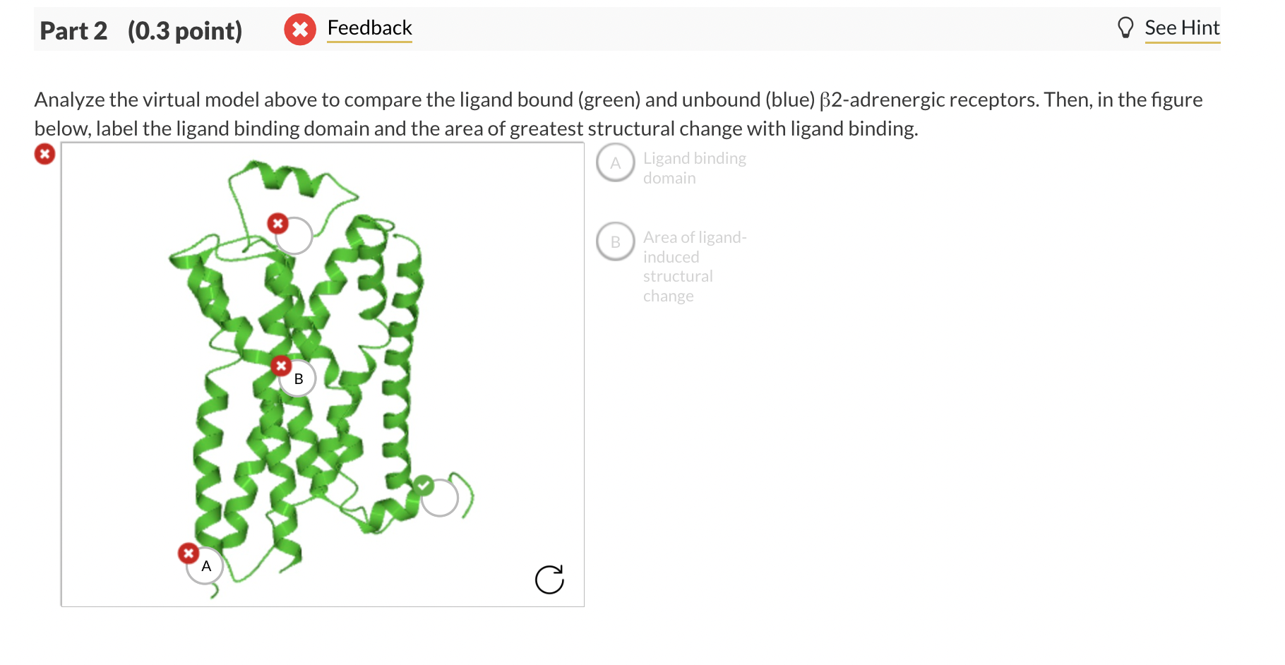 Solved Analyze the virtual model above to compare the ligand | Chegg.com