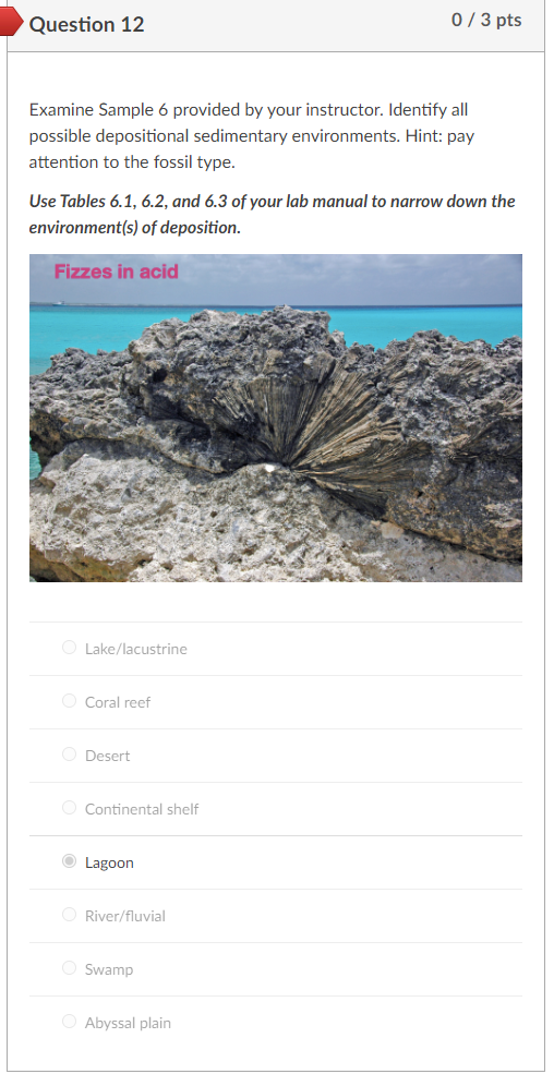 Solved Examine Sample 4 provided by your instructor. | Chegg.com