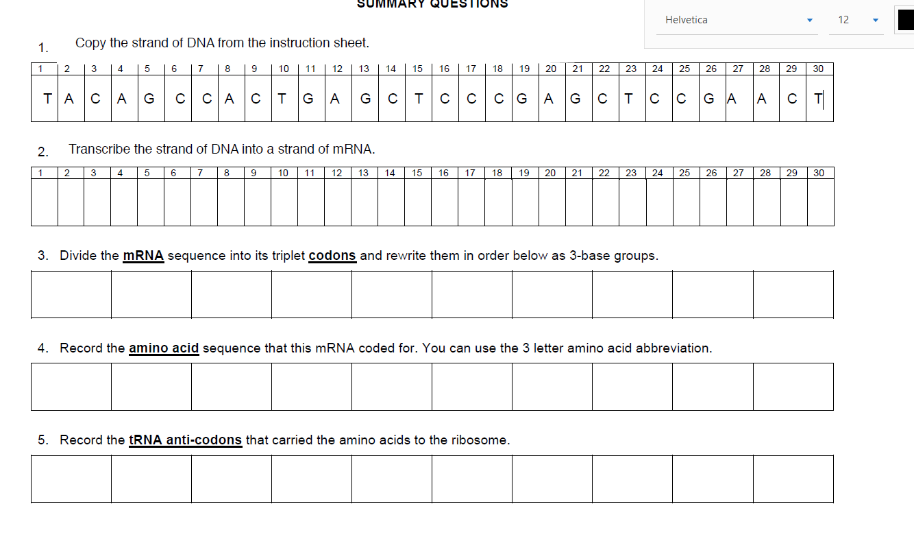 Solved SUMMARY QUES Helvetica 12 . 1. Copy the strand of DNA | Chegg.com