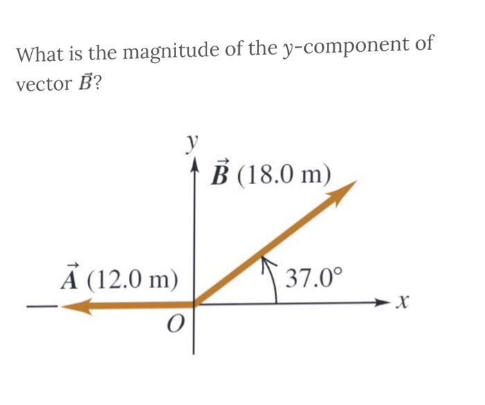 Solved What is the magnitude of the y-component of vector B? | Chegg.com