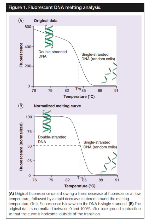 Solved In Figure 1, what does normalization change going | Chegg.com