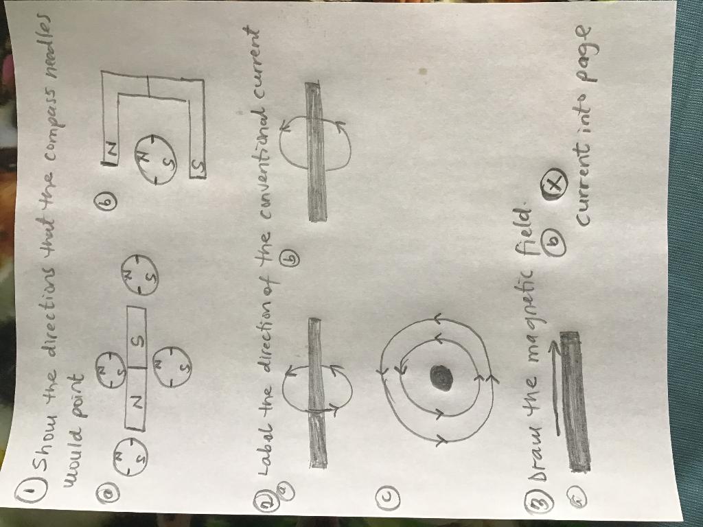 Solved 10 shows the directions that the compass needles | Chegg.com