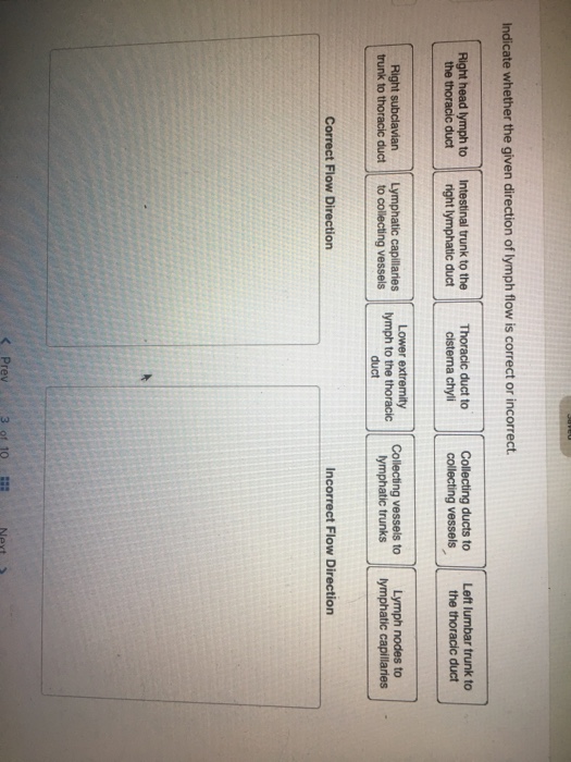 Solved Indicate whether the given direction of lymph flow is | Chegg.com
